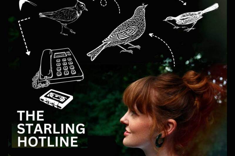 Full Listing of Shows & Events – Sheringham Little Theatre